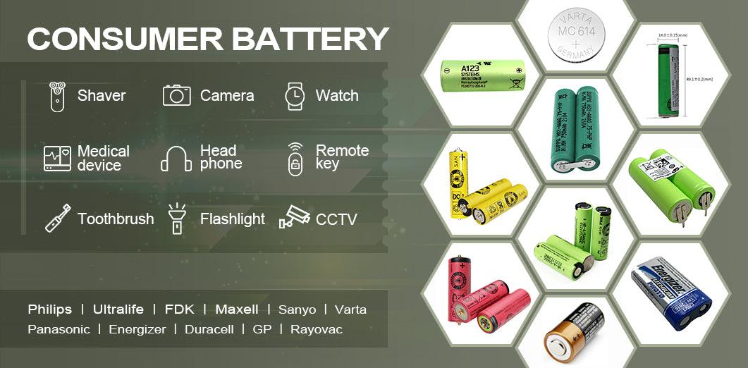 All you need to know about consumer batteries in 2025